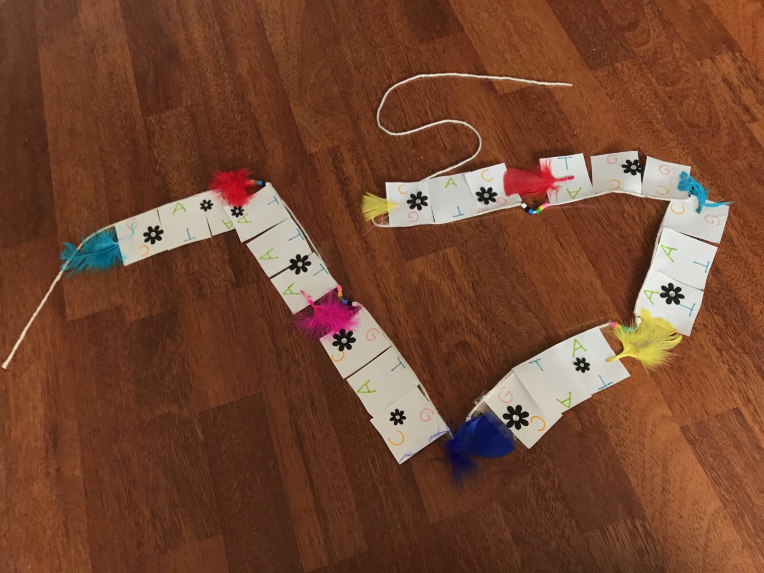 Designing DNA – Girls Friendly Society